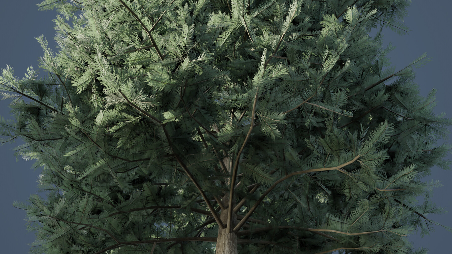 ArtStation - White Fir Trees | Game Assets