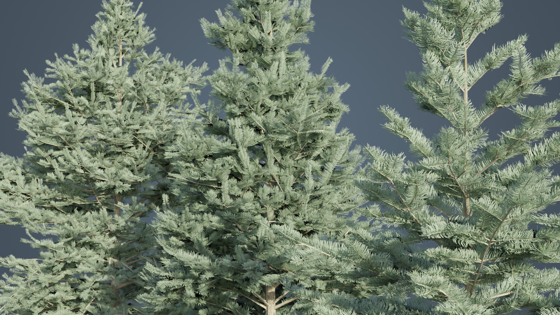 ArtStation - White Fir Trees | Game Assets