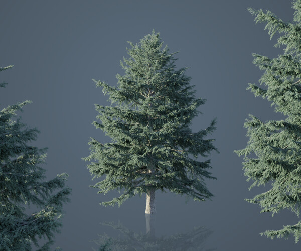 ArtStation - Deodar Cedar Trees | Game Assets