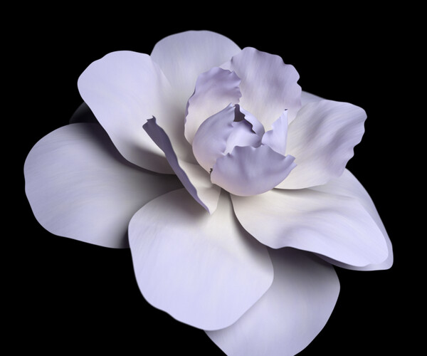 ArtStation - 5 Animated Blooming Flowers | Resources