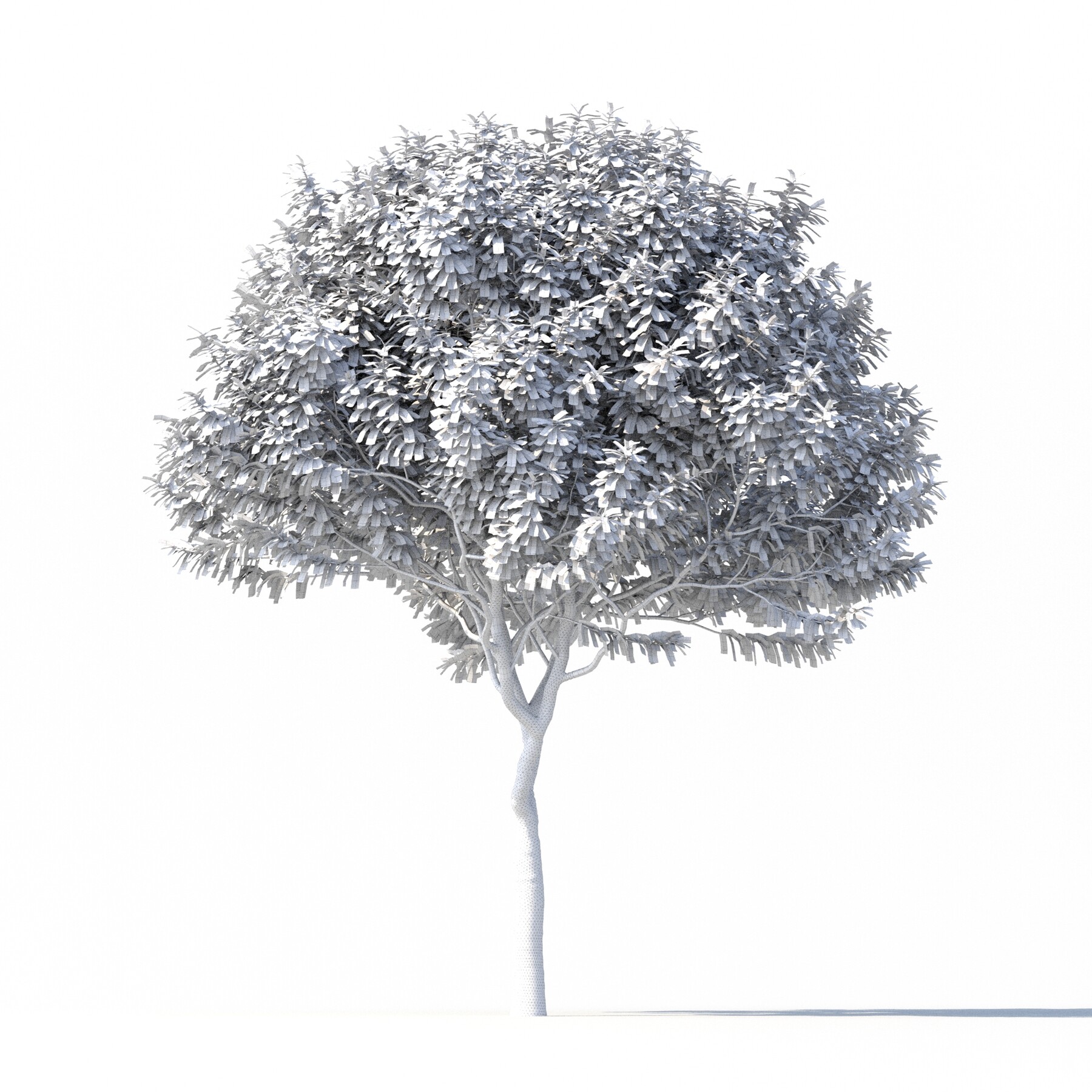 ArtStation - TRee-Crape myrtle No 1 | Resources