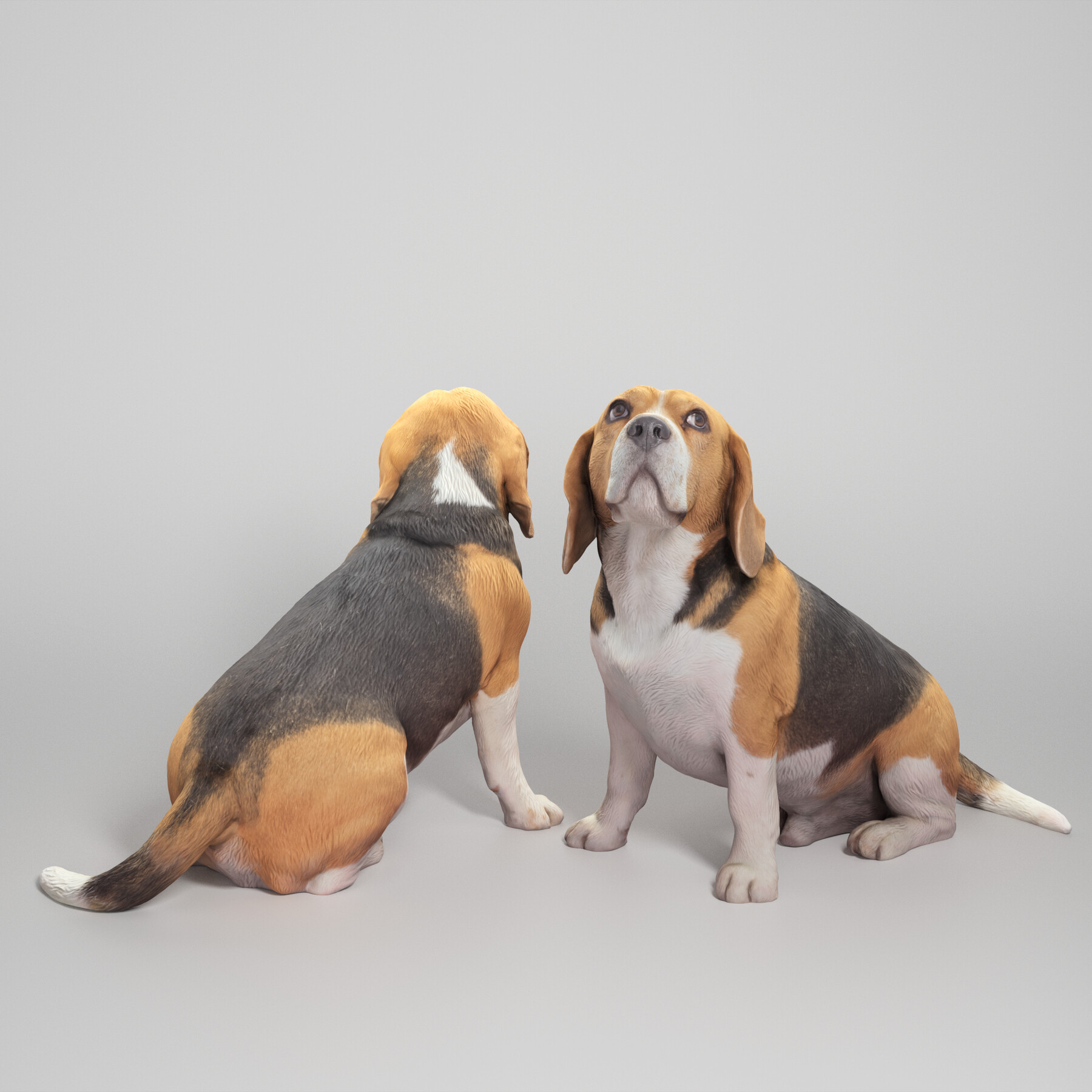 ArtStation - Beagle dog 18 | Game Assets