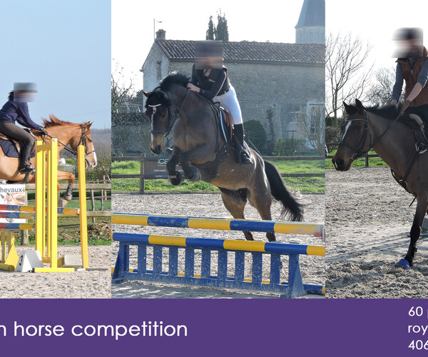 ArtStation - French horse competition | Resources