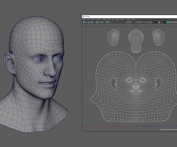 ArtStation - Male Head: 3D Base Mesh Template | Resources