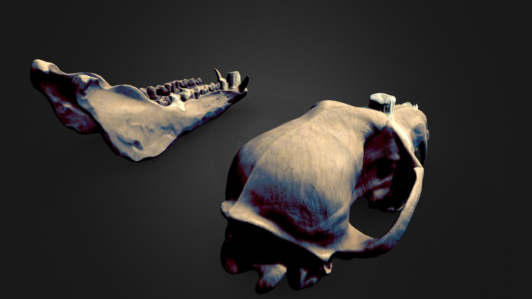 ArtStation - Stylized Skull / Jaw | Resources