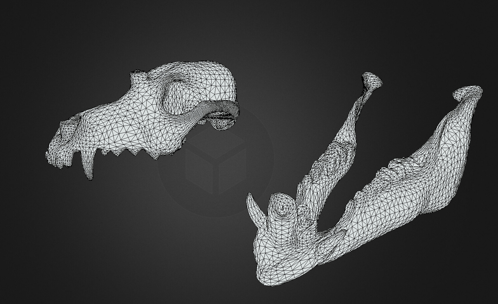 ArtStation - Stylized Skull / Jaw | Resources