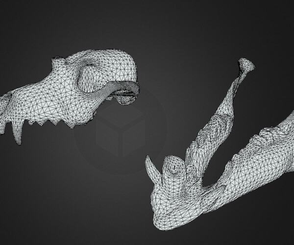ArtStation - Stylized Skull / Jaw | Resources