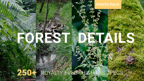 ArtStation - FOREST DETAILS PHOTO PACK - 250+ reference photos of ...