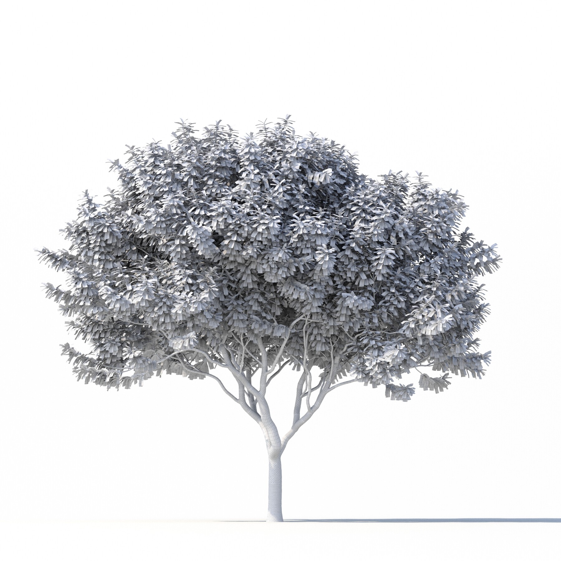 ArtStation - Tree-Crape myrtle No 2 | Resources