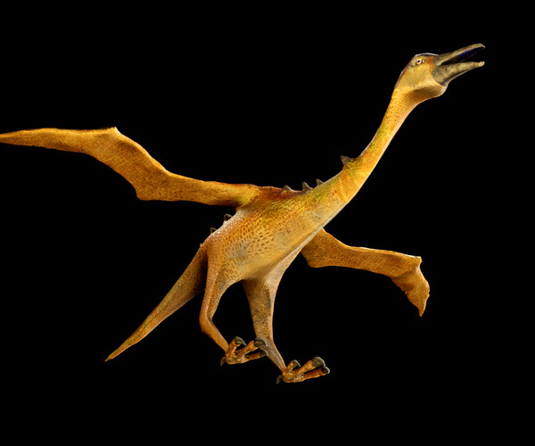 ArtStation - Dino yellow with wings | Resources