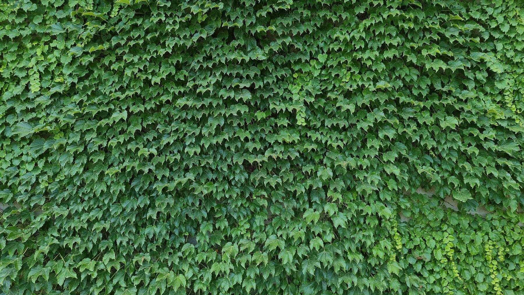 ArtStation - Traditional Korean Materials and Textures - 370+ High ...