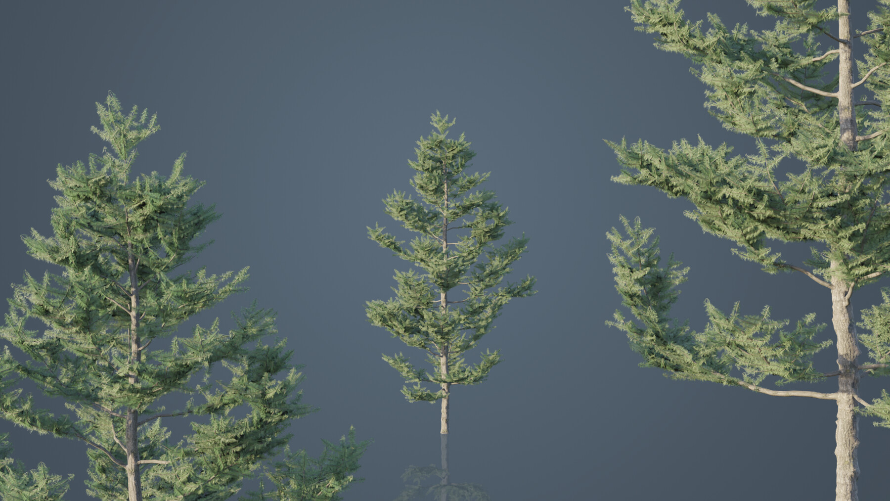 ArtStation - Japanese White Larch Trees | Game Assets
