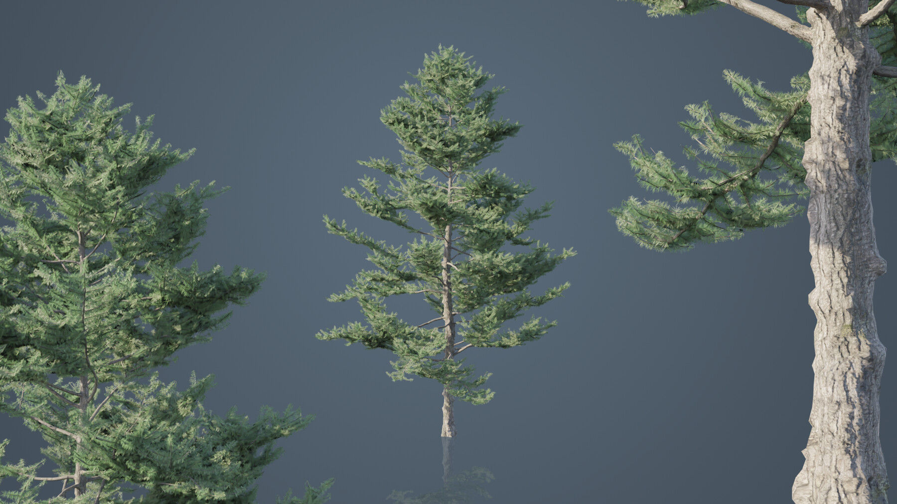 ArtStation - Japanese White Larch Trees | Game Assets