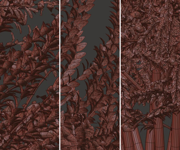 ArtStation - Set of Abelia grandiflora Trees (Pearl Acacia) (3 Shrubs) | Resources