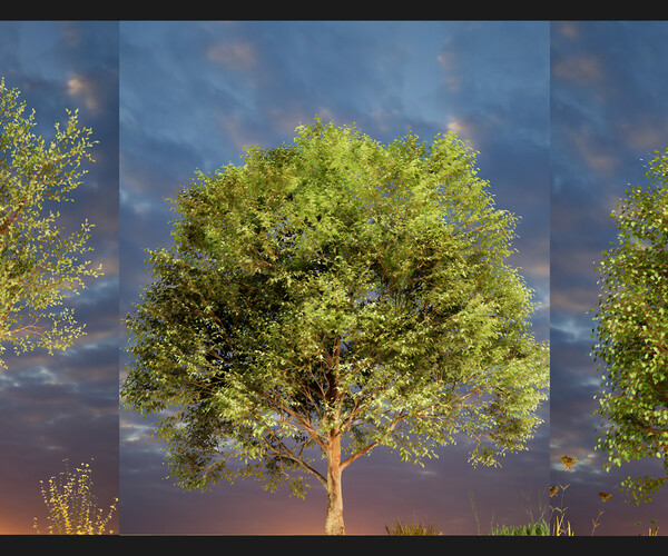 ArtStation - UE5/4 Cinematic Trees pack 01 | Game Assets