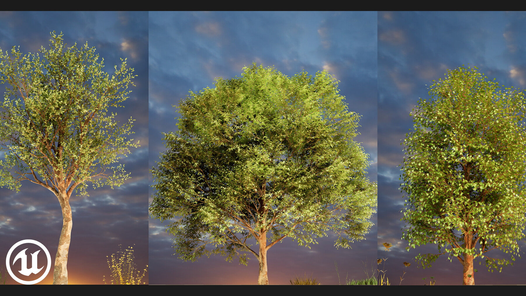 ArtStation - UE5/4 Cinematic Trees pack 01 | Game Assets