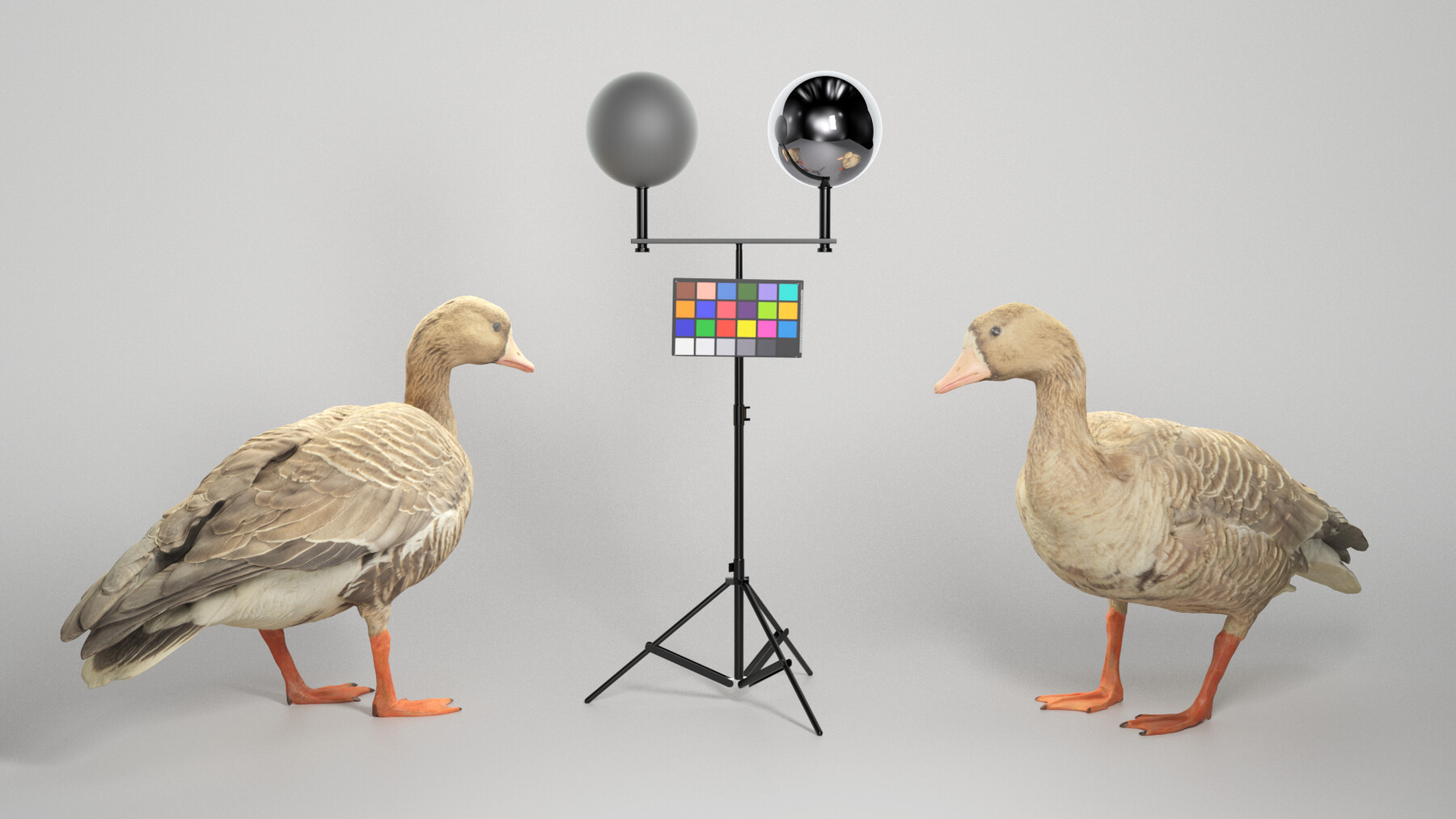 ArtStation - Goose 19 | Game Assets