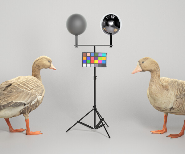 ArtStation - Goose 19 | Game Assets