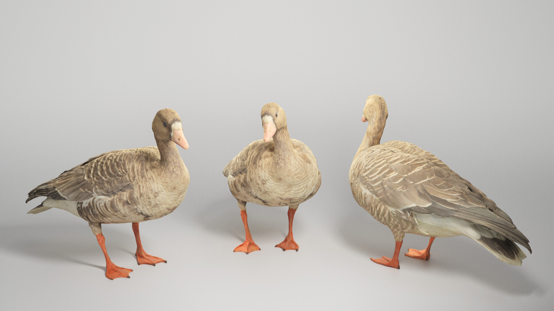 ArtStation - Goose 19 | Game Assets