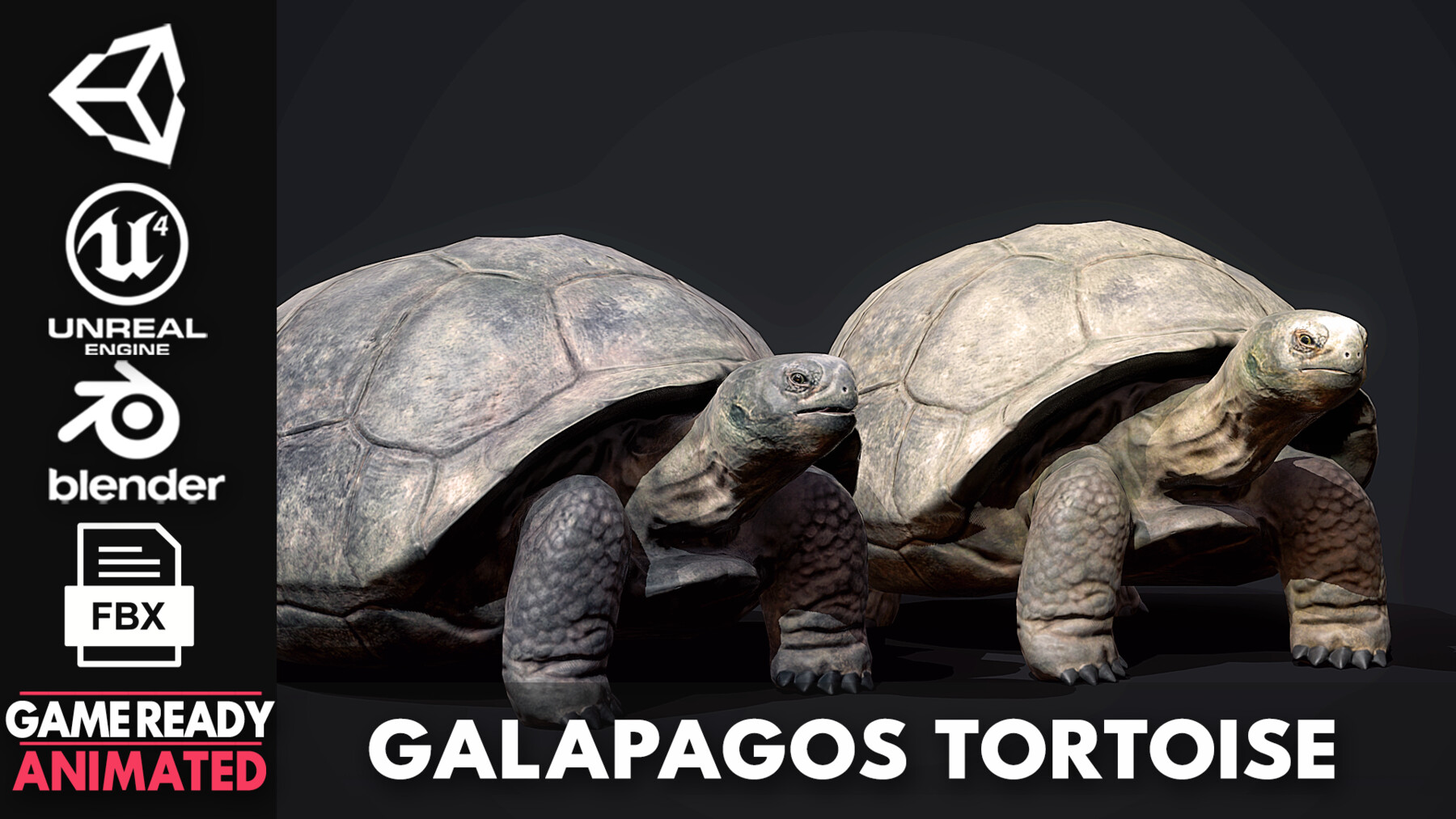 ArtStation - Galapagos Tortoise - Game Ready | Game Assets