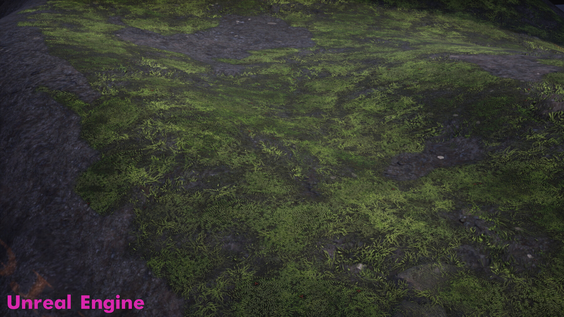 ArtStation - Moss Tileable Material with Substance Graph | Game Assets