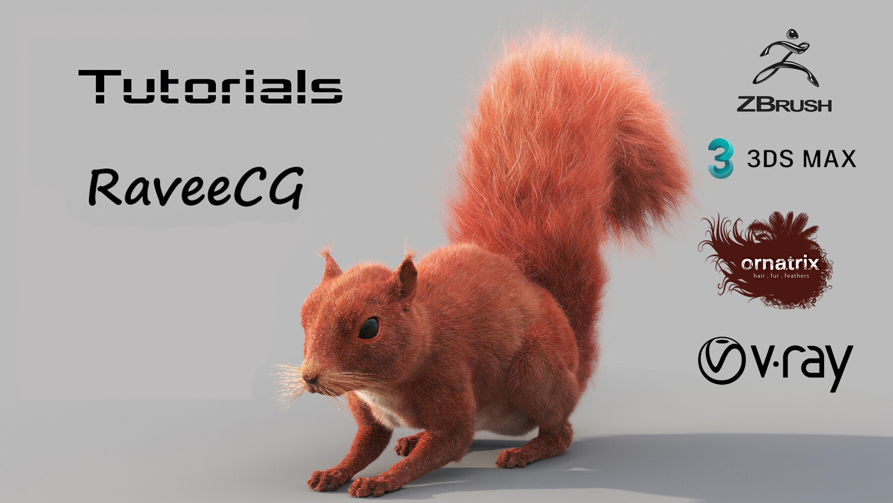 RaveeCG Tuts - Squirrel Video Tutorials