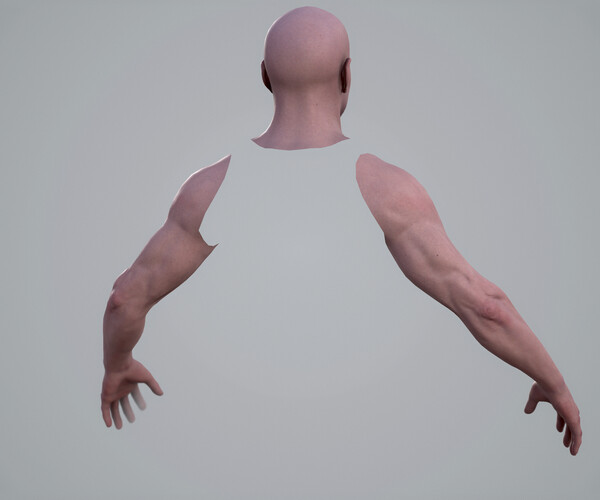 ArtStation - Male Head and Two Arms | Game Assets