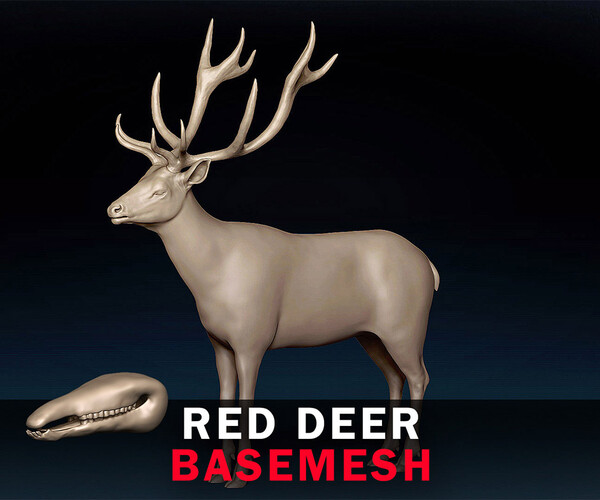 ArtStation - Red Deer Basemesh 3D model | Resources