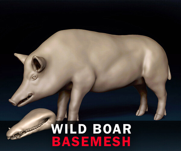 ArtStation - Wild Boar Basemesh 3D model | Resources
