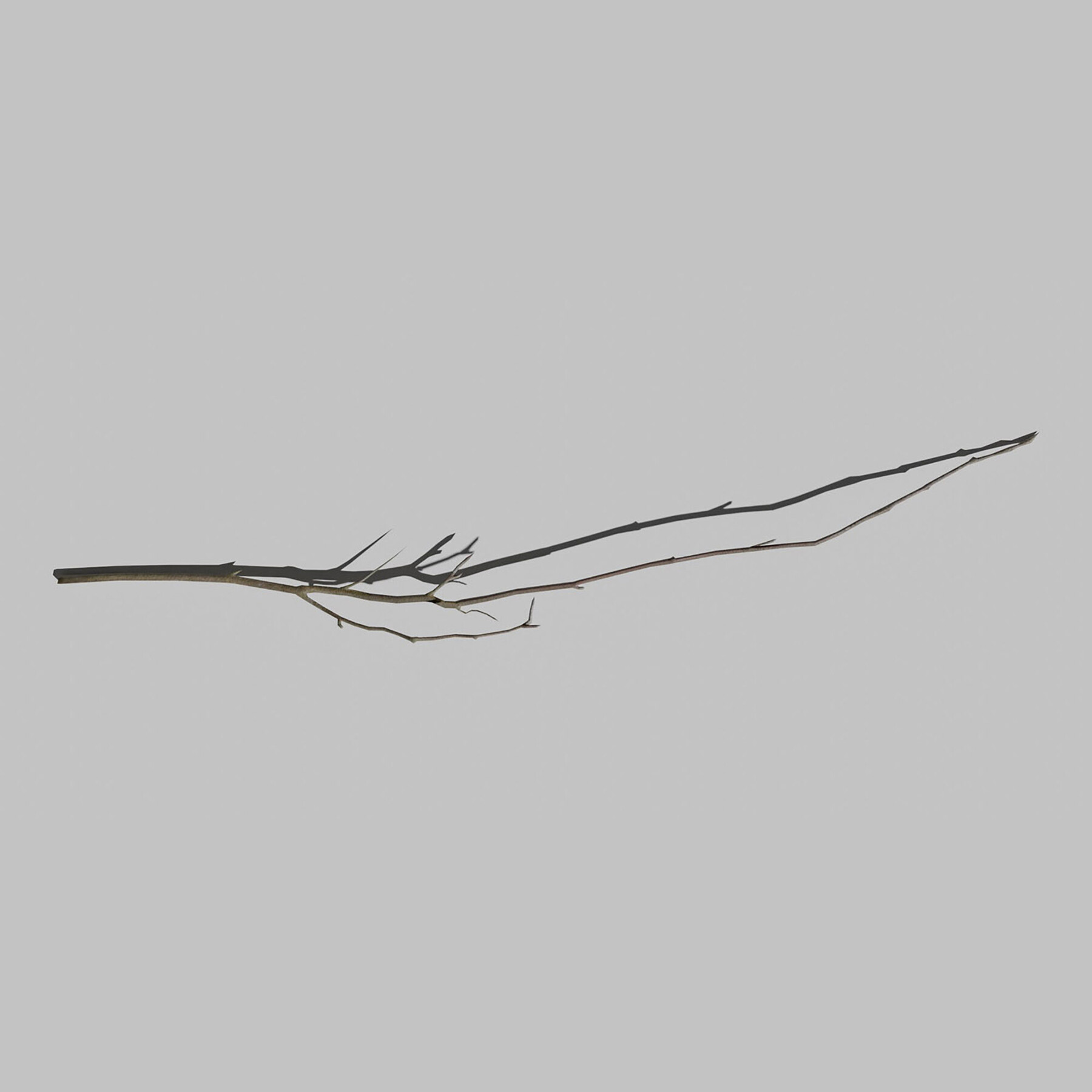 ArtStation - Mountain Ash Twigs | Resources
