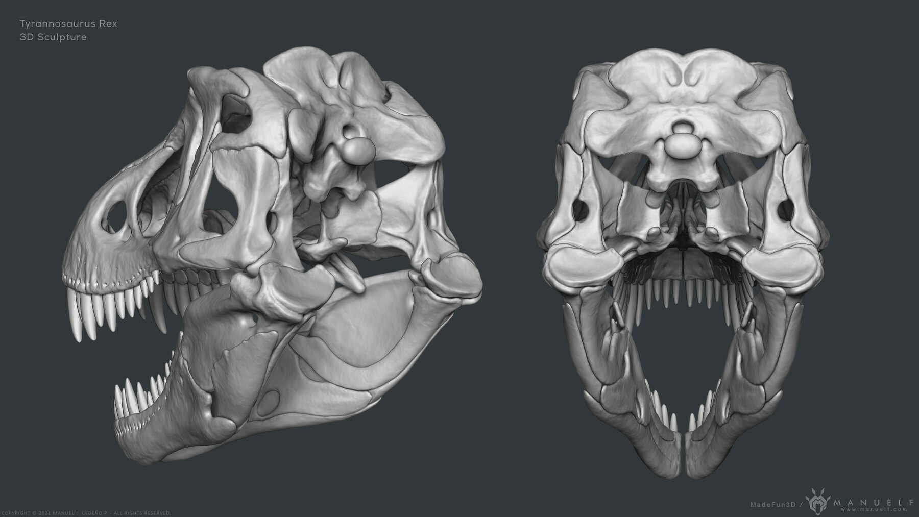 ArtStation - Tyrannosaurus Rex T-rex Skull Bones Sculpture | Game Assets