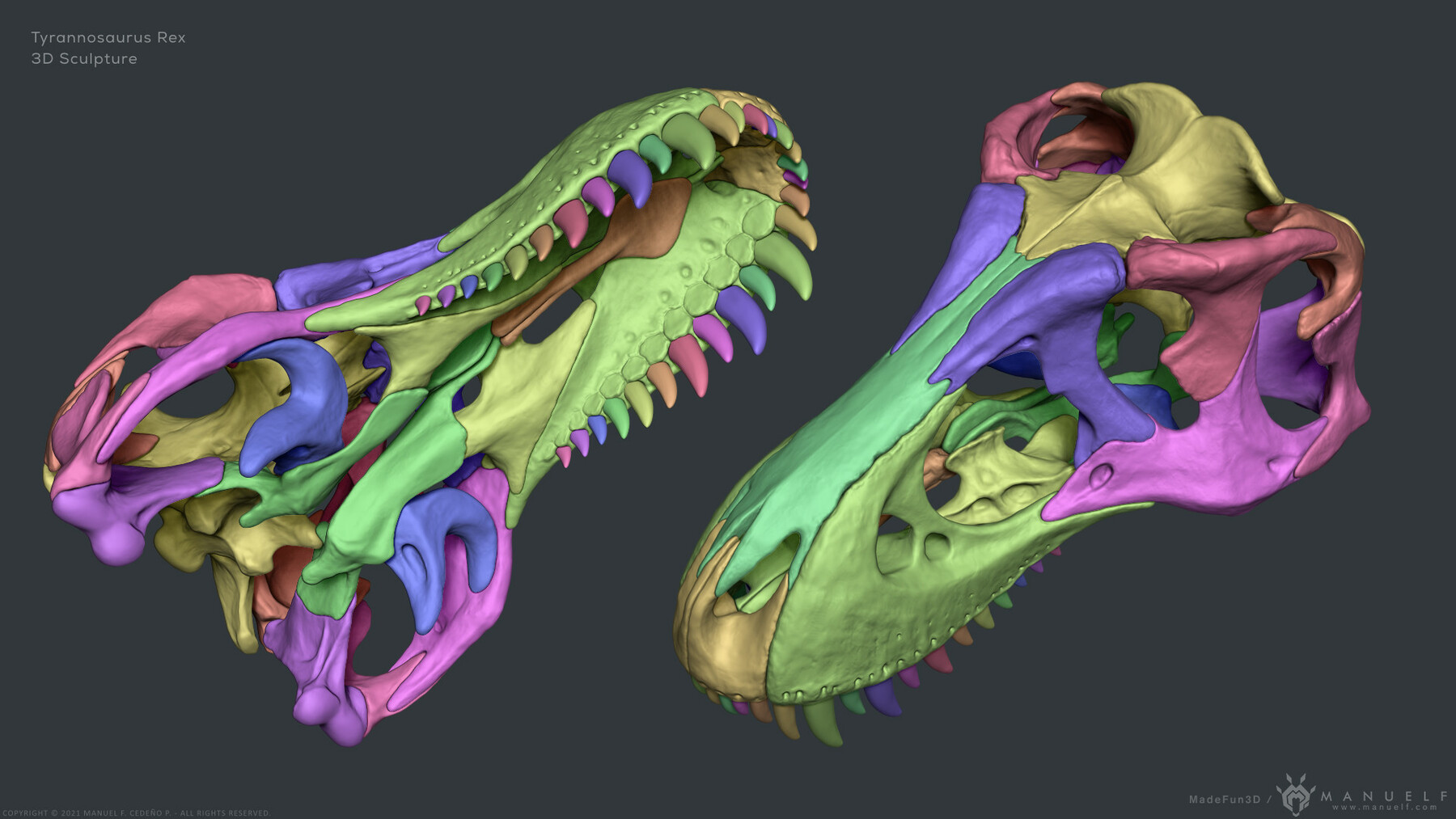 ArtStation - Tyrannosaurus Rex T-rex Skull Bones Sculpture | Game Assets
