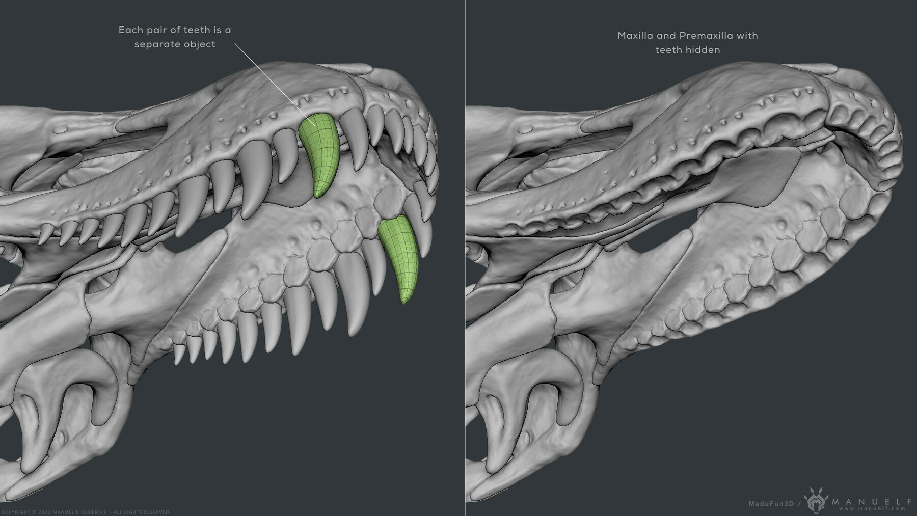 ArtStation - Tyrannosaurus Rex T-rex Skull Bones Sculpture | Game Assets