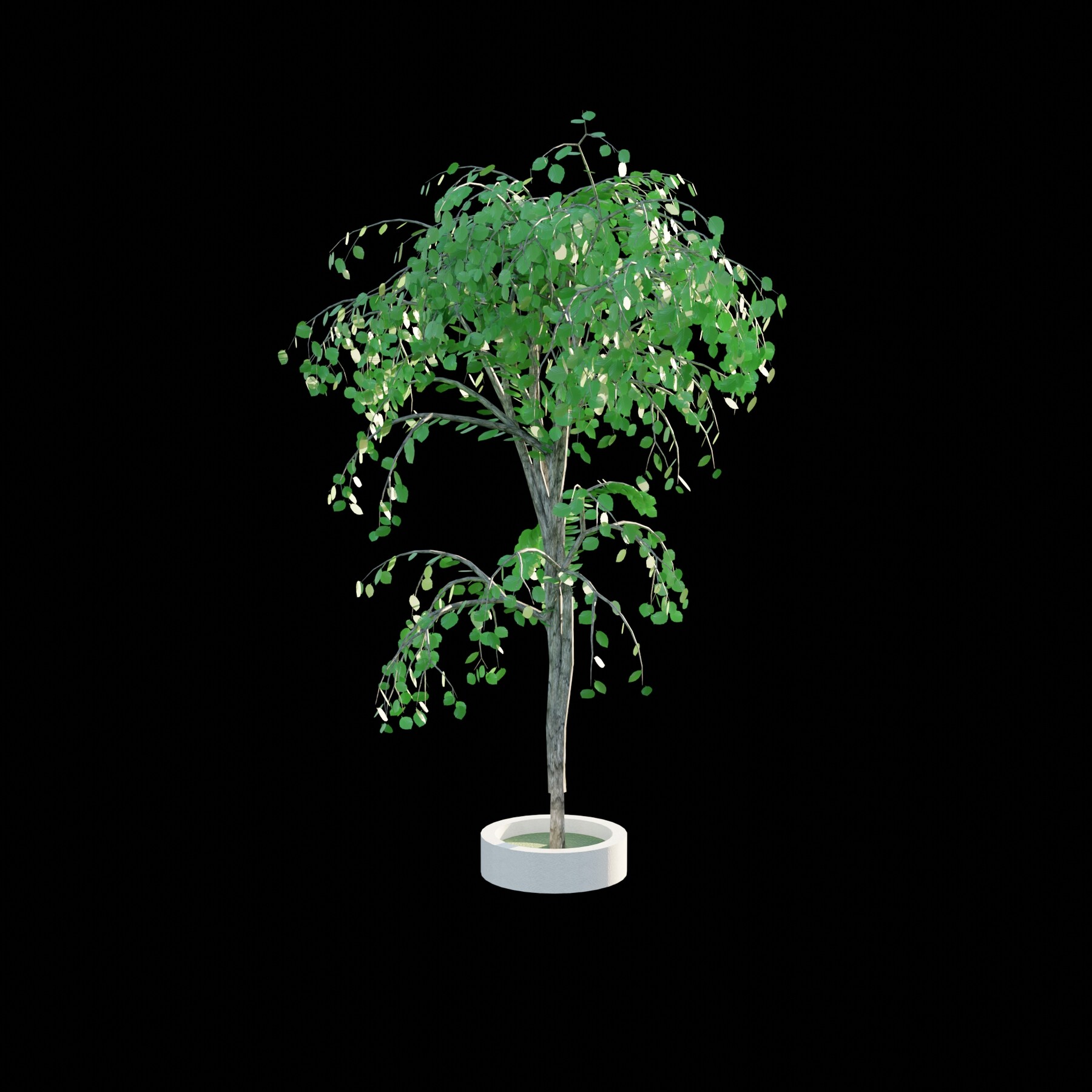ArtStation - Tree 1 | Game Assets