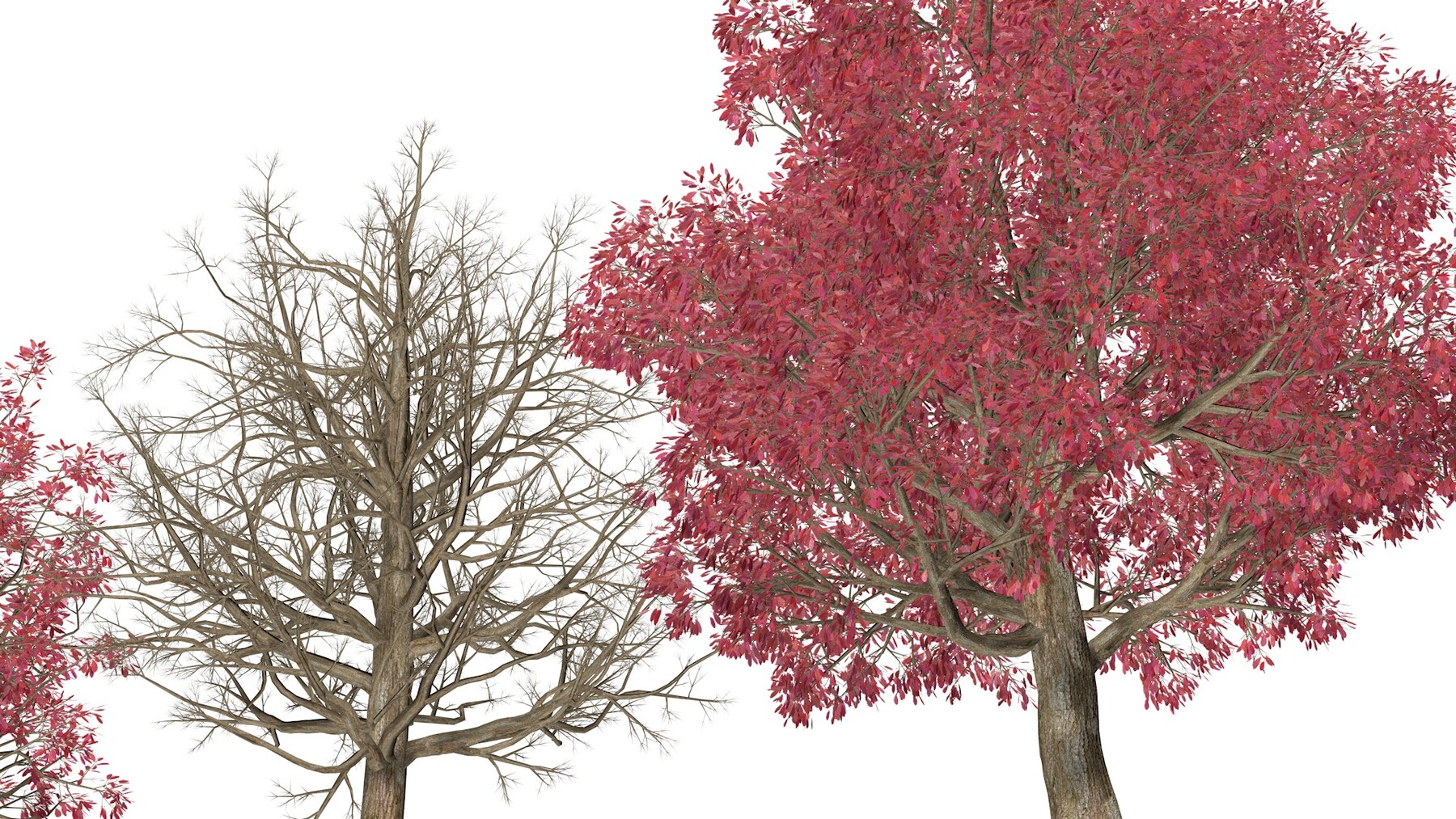 ArtStation - Three Pink trees v2 | Resources