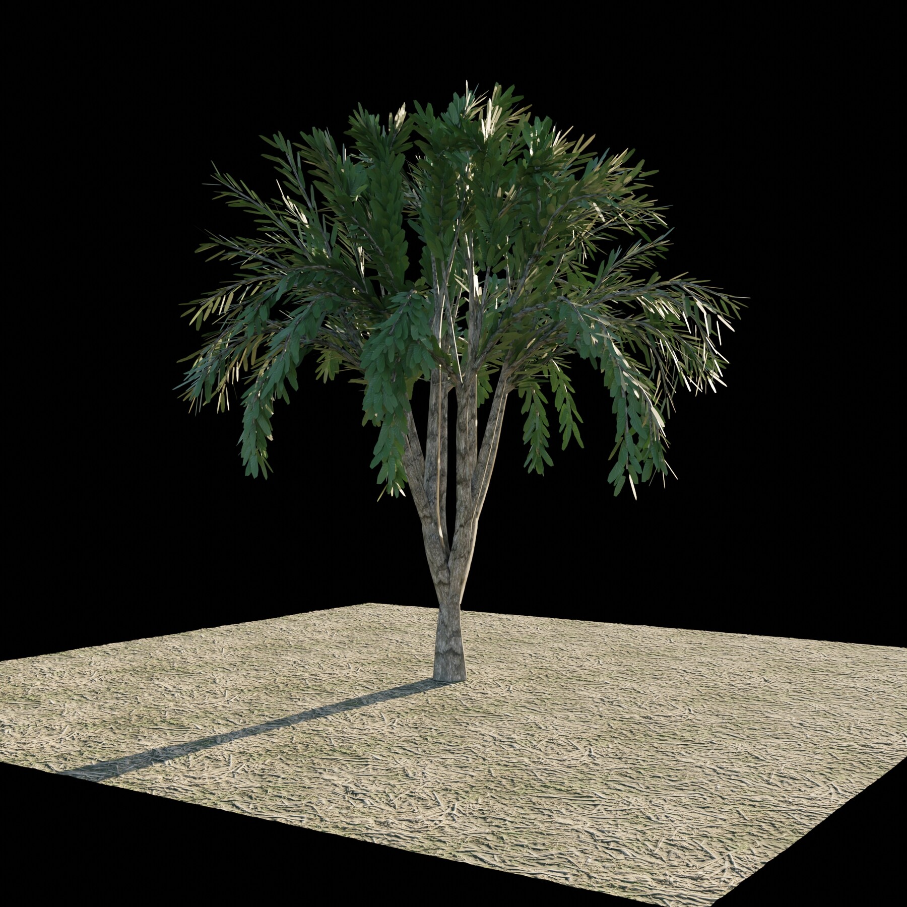 ArtStation - Tree 2 | Game Assets