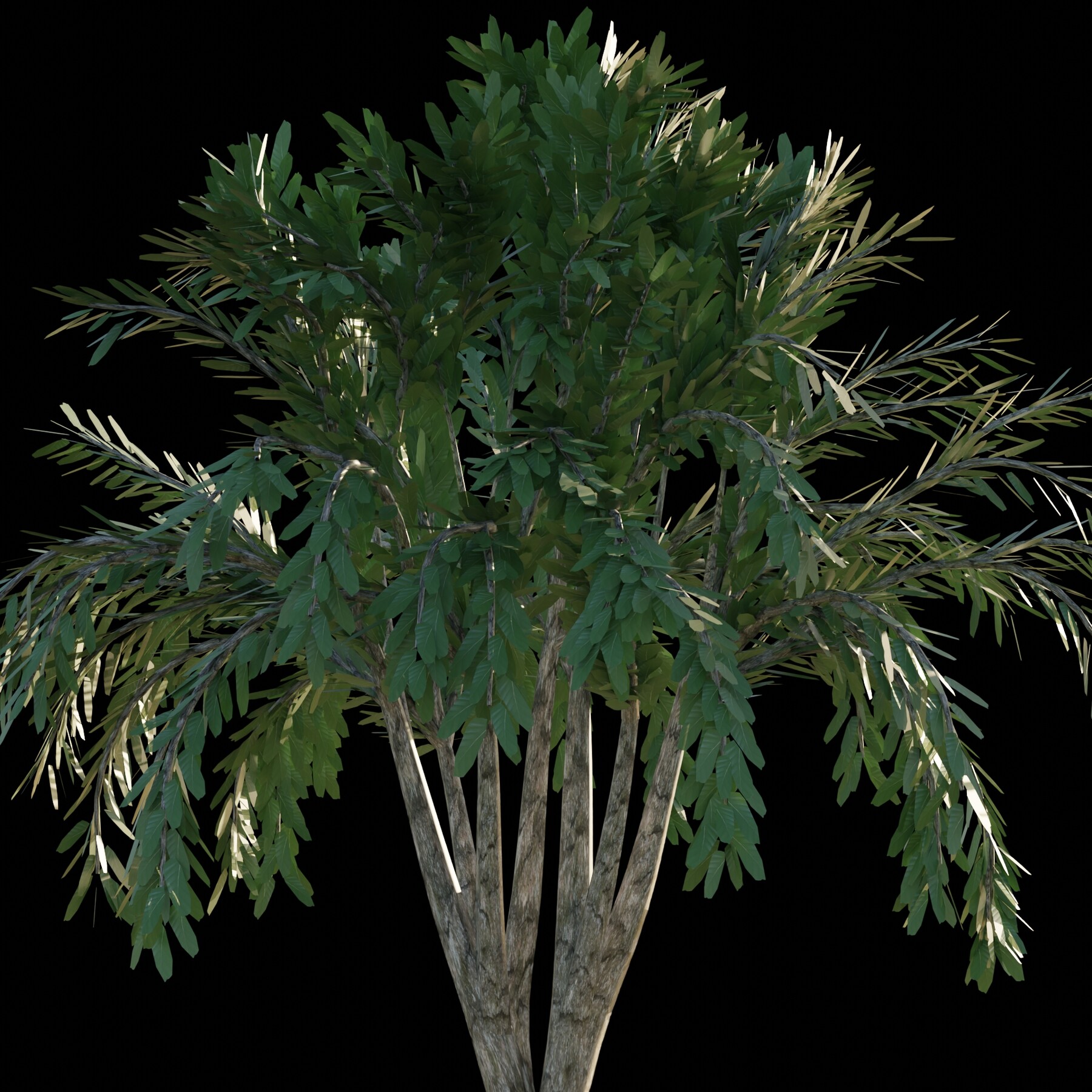 ArtStation - Tree 2 | Game Assets