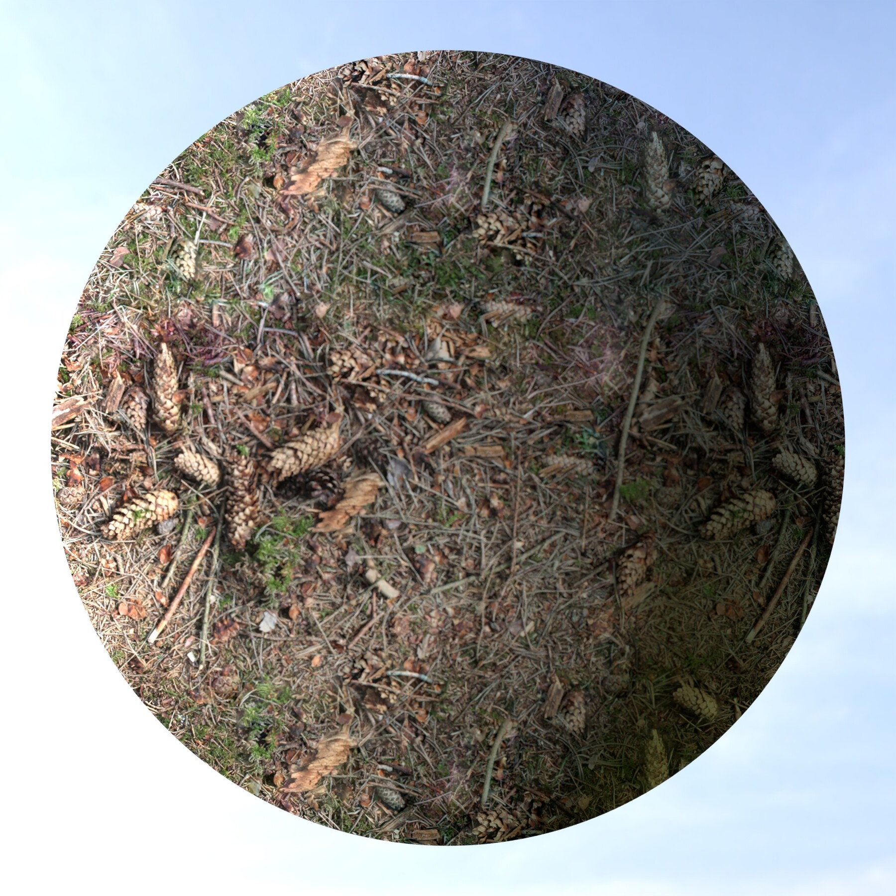 ArtStation - Forest Ground 25 PBR Material | Game Assets