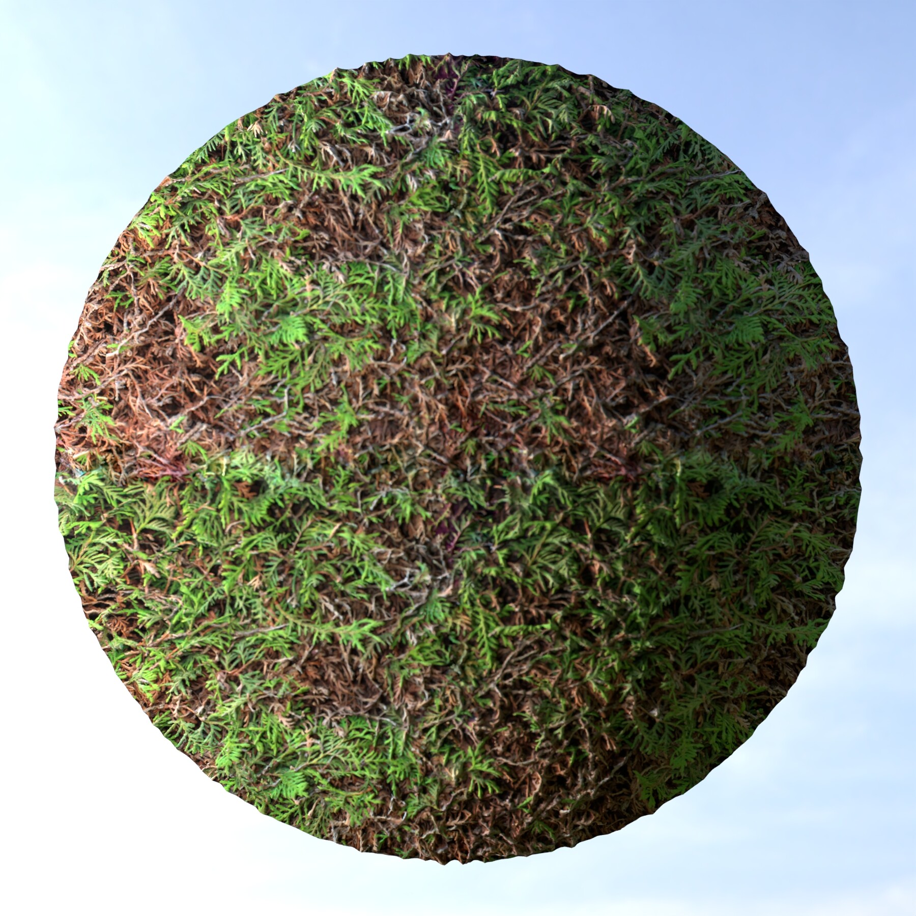 ArtStation - Hedge 5 PBR Material | Game Assets