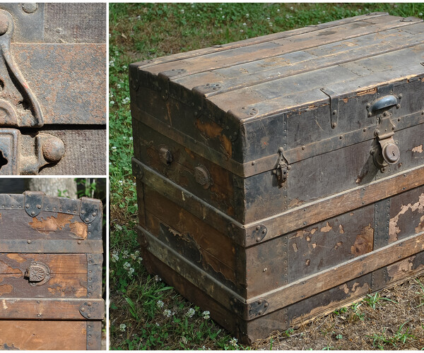 ArtStation - Old Trunk Reference Photo Pack: 12 Photos | Resources