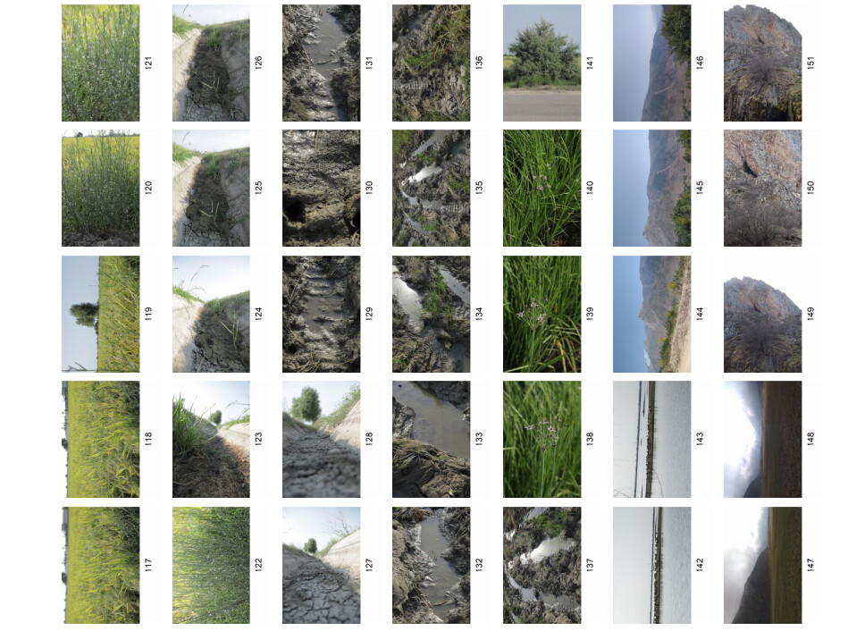 ArtStation - Random | Environment | Photo References | 225 Photoes ...