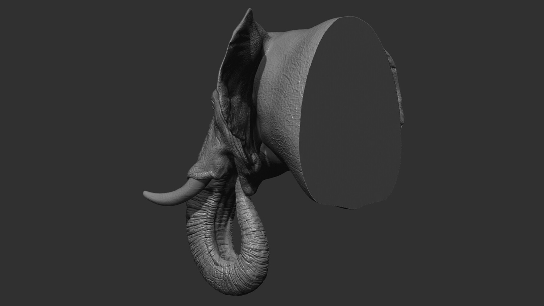 ArtStation - Elephant head | Resources