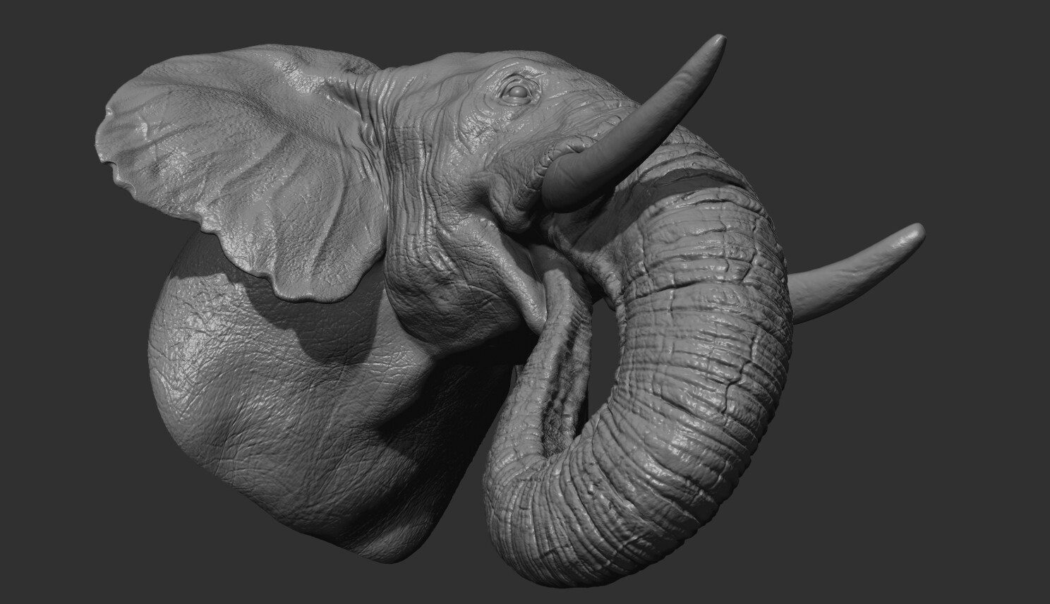 ArtStation - Elephant head | Resources