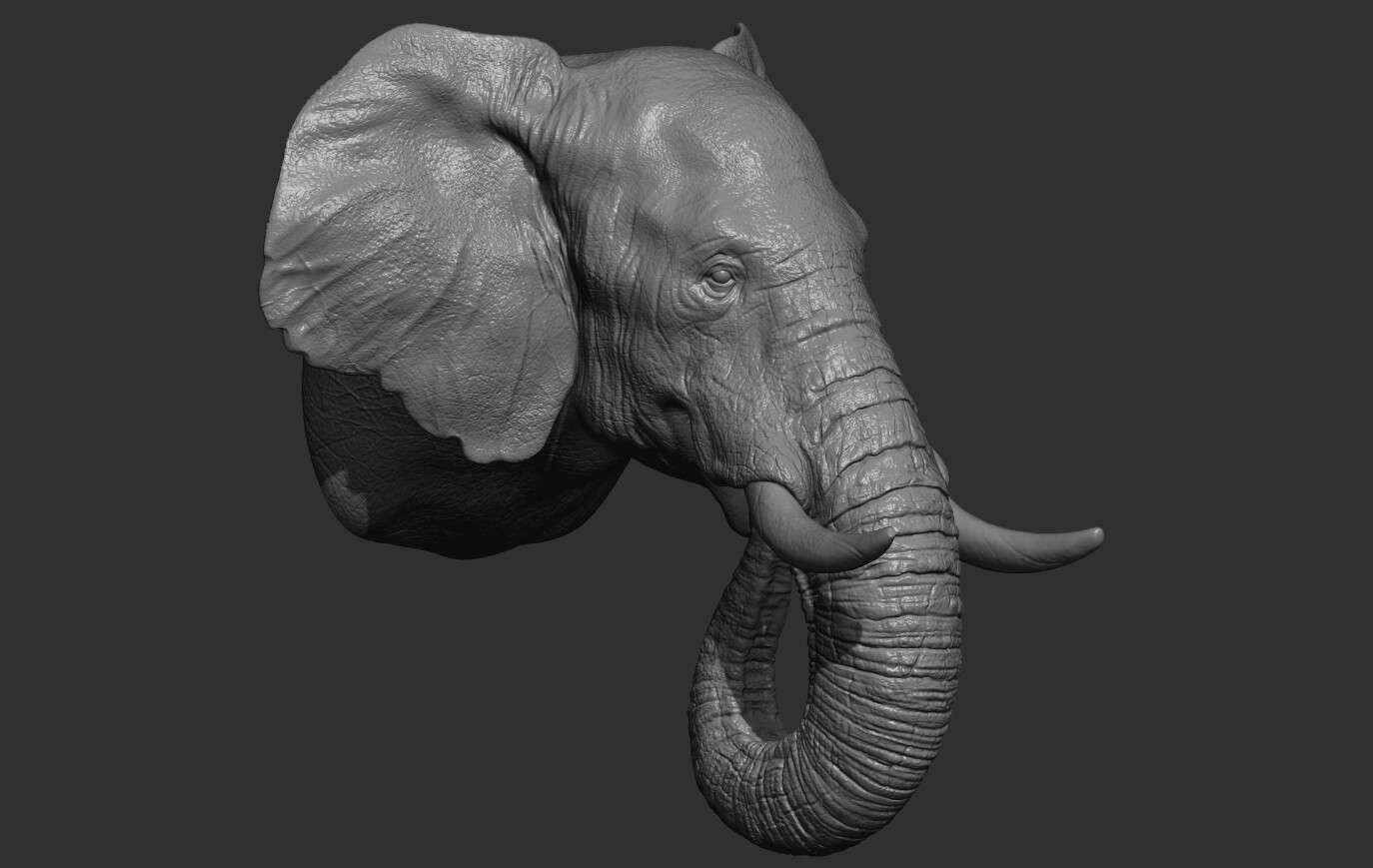 ArtStation - Elephant head | Resources
