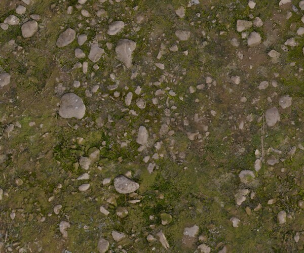 ArtStation - Woodland Terrain Texture | Game Assets