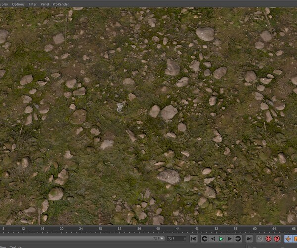ArtStation - Woodland Terrain Texture | Game Assets