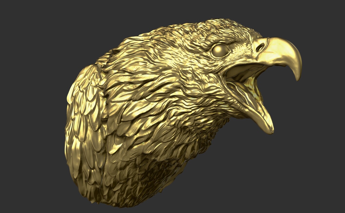 ArtStation - Bald Eagle head | Resources