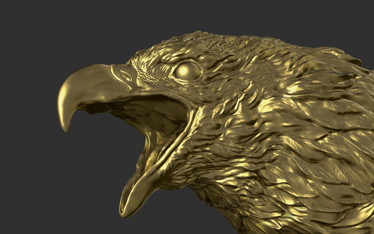 ArtStation - Bald Eagle head | Resources