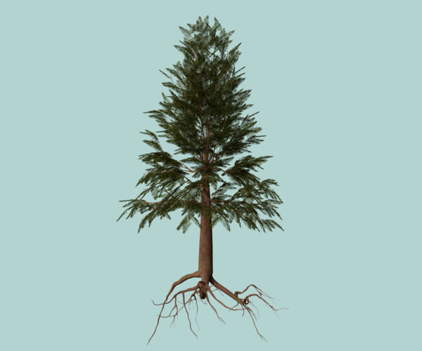 ArtStation - Pine Tree | Game Assets