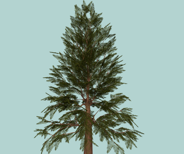 ArtStation - Pine Tree | Game Assets